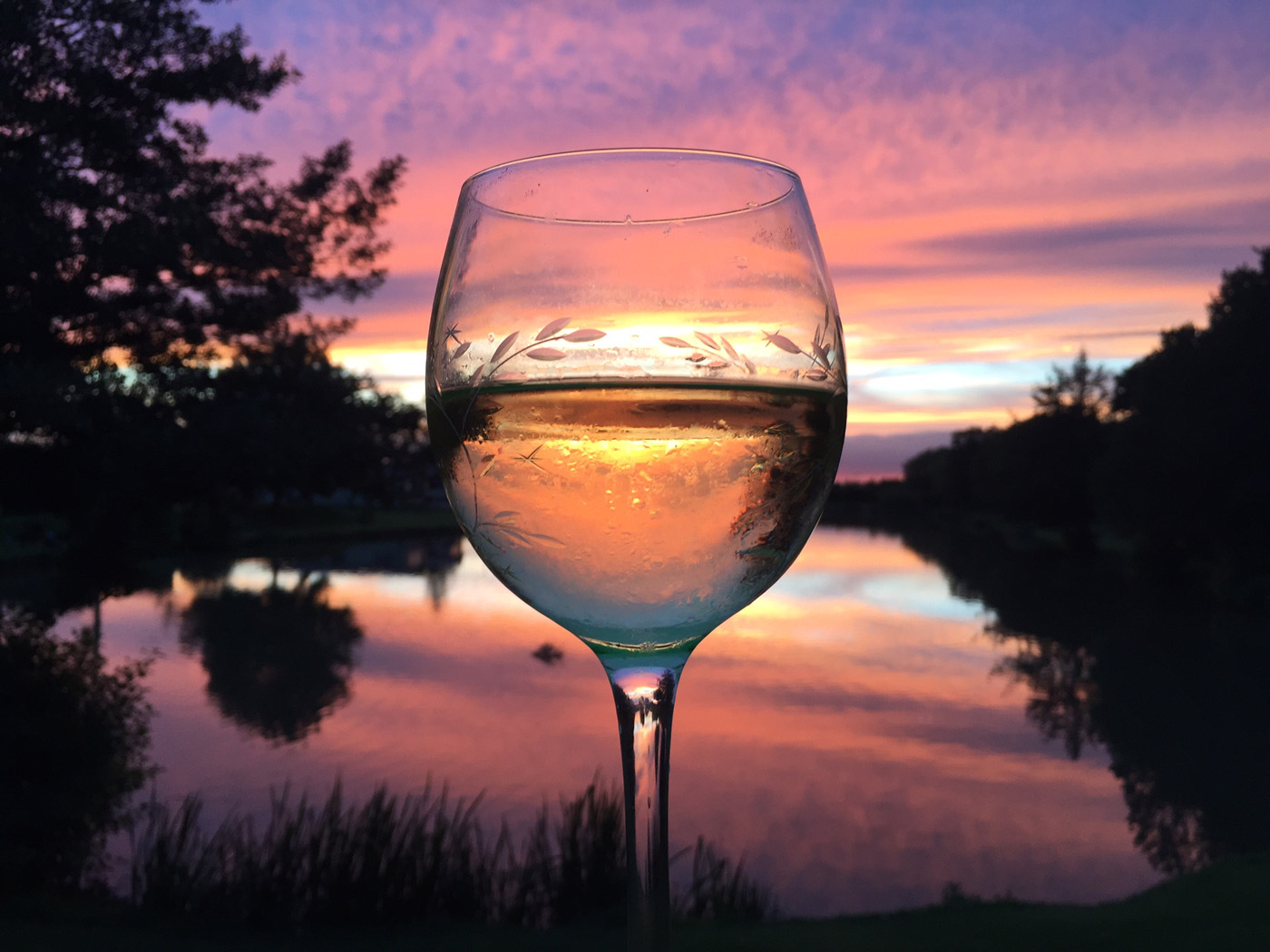 Lincolnshire's Premiere Fishing Complex - Hill View Lakes